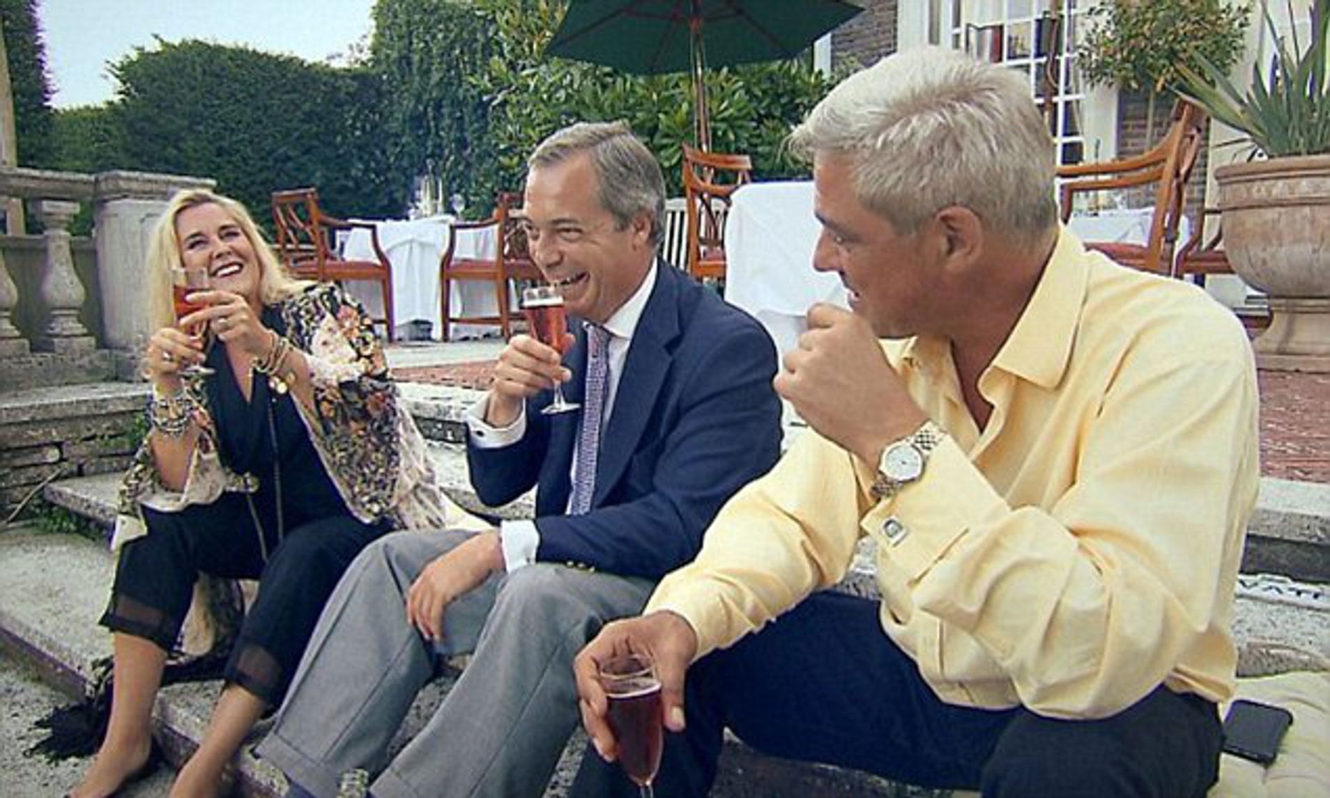Gráinne Hayes: The Biography of the First Wife of Nigel Farage
